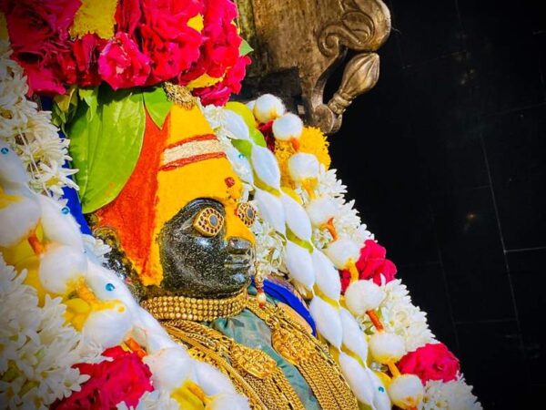 Pilgrimage to Tuljabhavani Temple: A Devotee’s Guide - Tuljabhavani Pujari